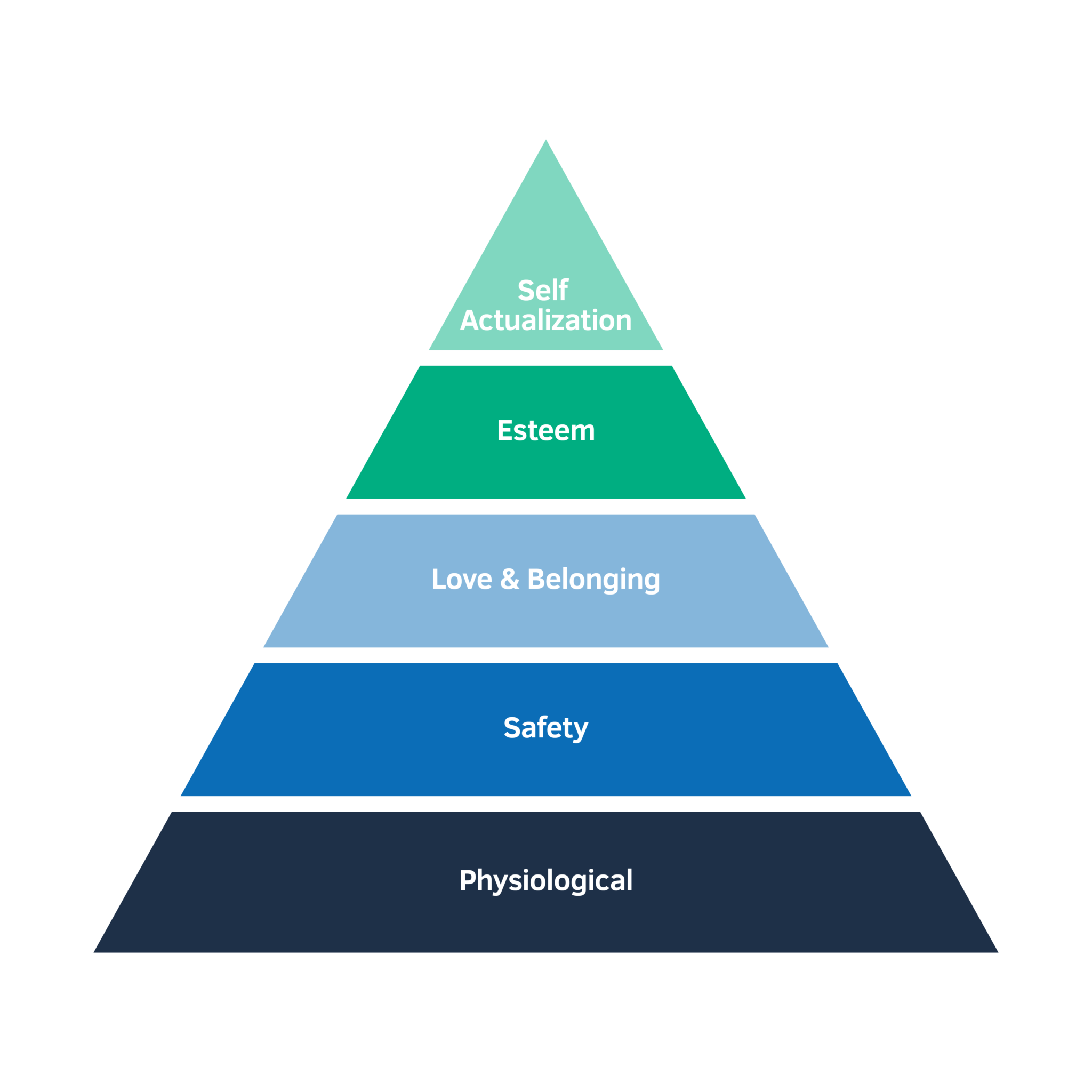 A Hierarchy of Stakeholder Needs - FCLTGlobal